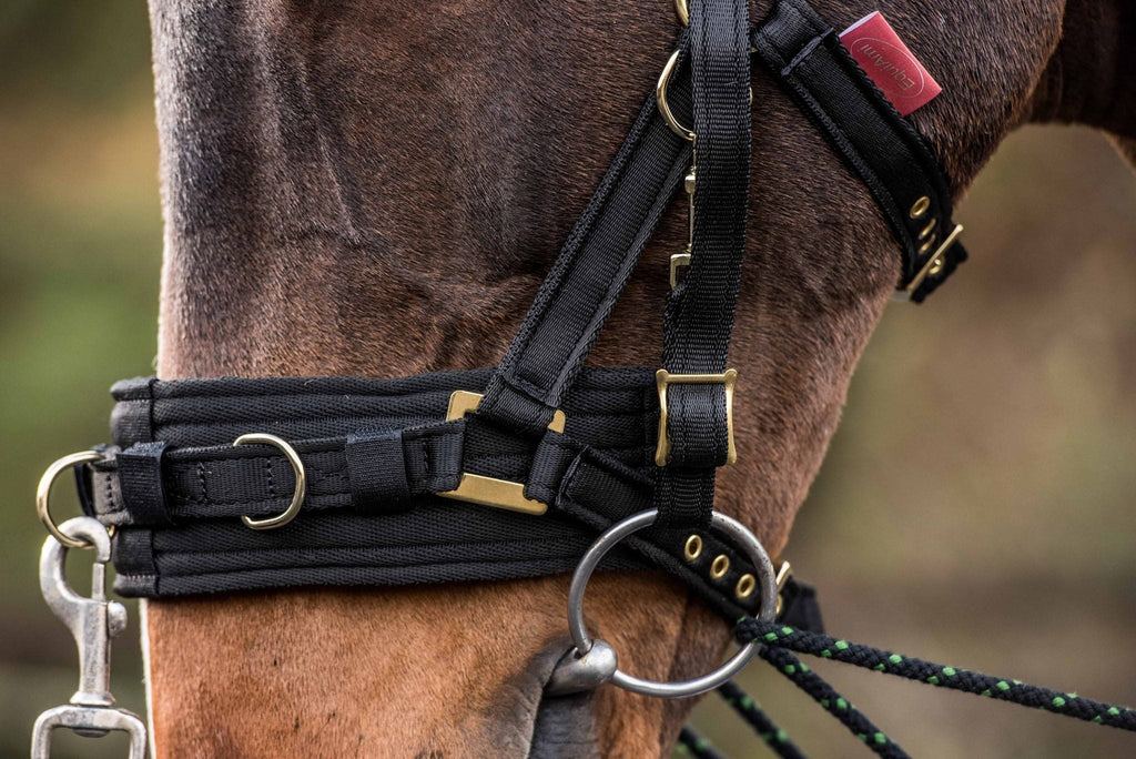 EquiAmi Premium Lunge Aid Complete Kit (incl Roller & Cavesson) - GREAT ...